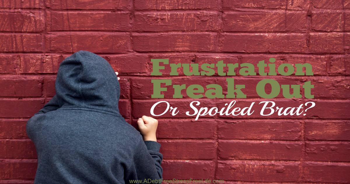 Frustration Freak Out or Spoiled Brat? - A Mess Free Life
