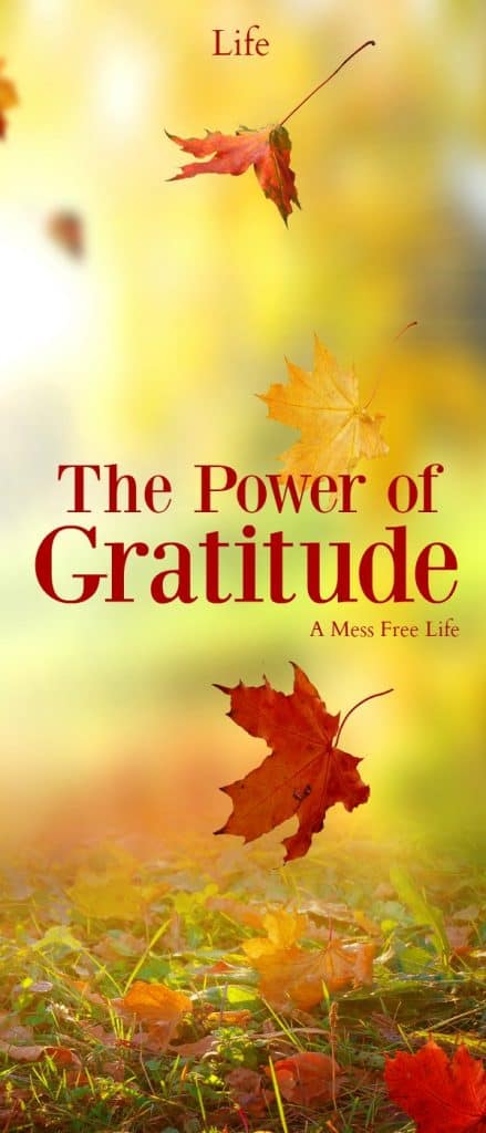 The Power of Gratitude In Our Lives - A Mess Free Life