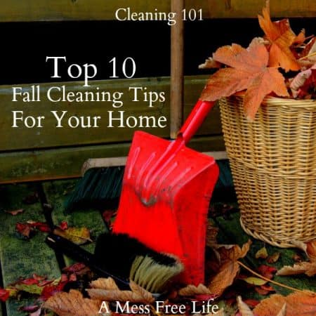Top Ten Professional Fall Cleaning Tips | Get Your Home Ready For Fall